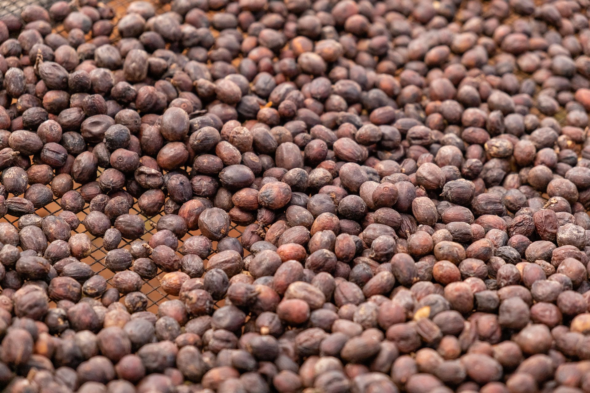 Home | Kal Coffee | كال القهوة